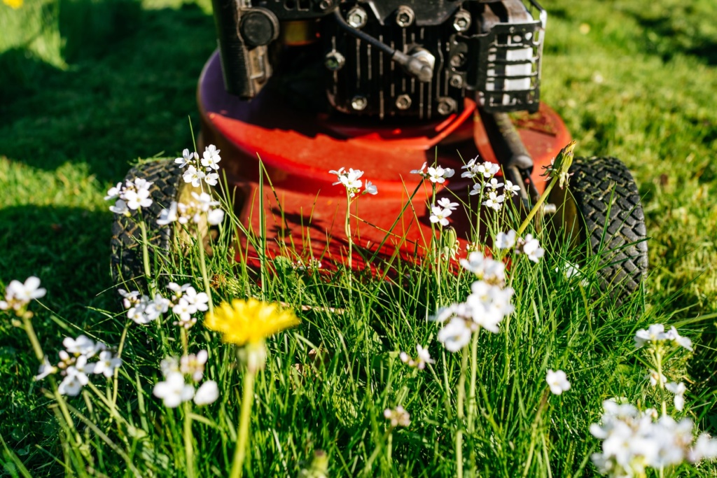 Grass cutting schedules & tips - your easy lawn care guide